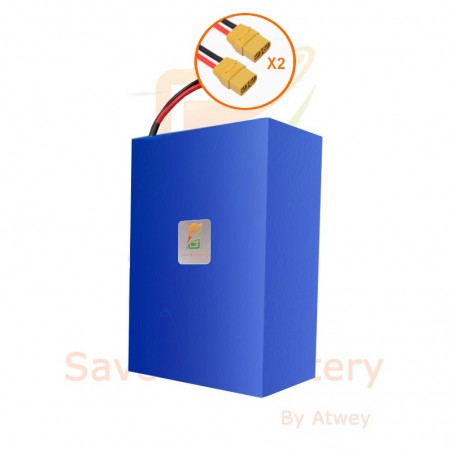 Battery 60V 30Ah Weped GTS/SSGT - Save My Battery